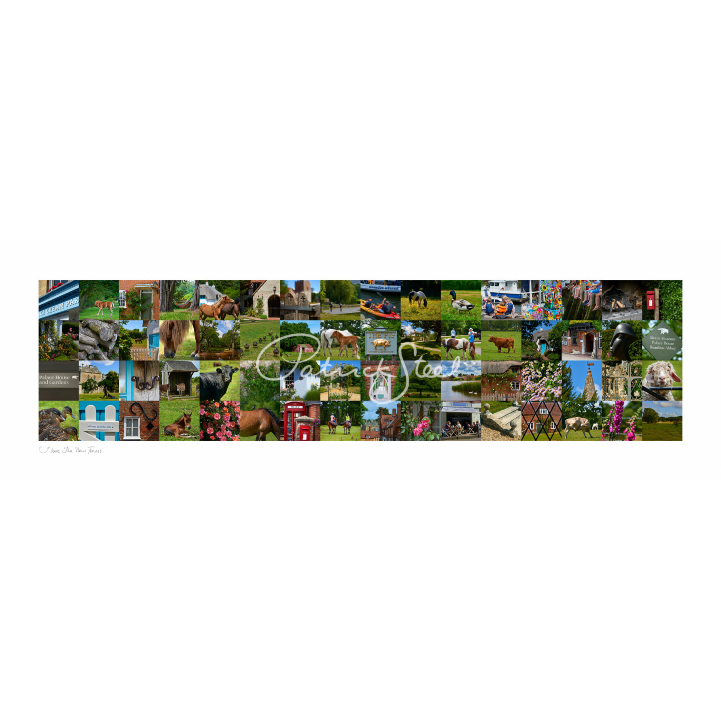 I LOVE THE NEW FOREST | LANDSCAPE FORMAT MONTAGE | EXCLUSIVE LIMITED ...
