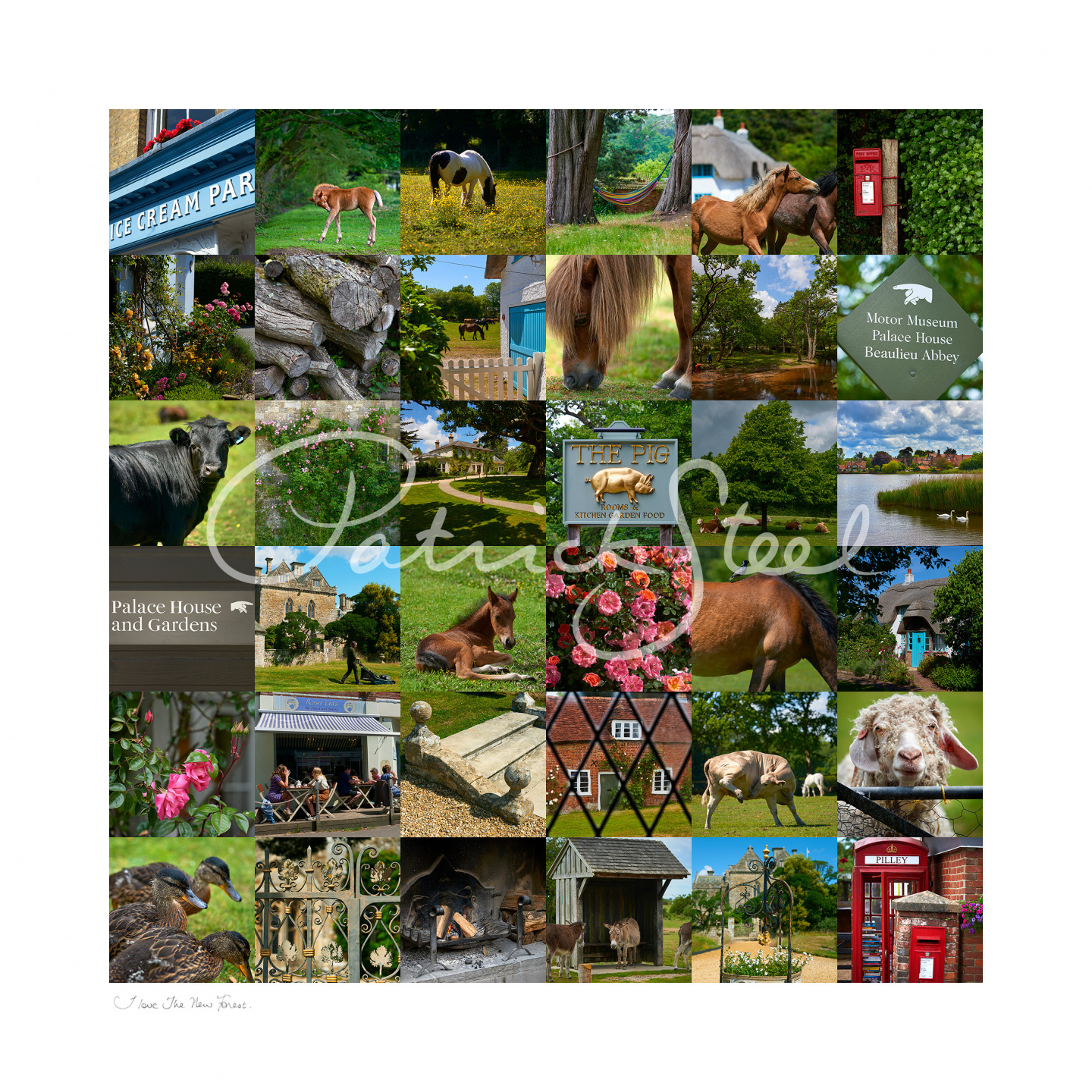 I LOVE THE NEW FOREST | SQUARE FORMAT MONTAGE | EXCLUSIVE LIMITED ...